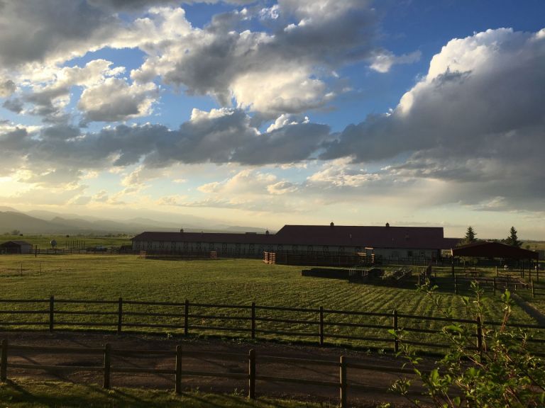 Meet Jessica Kinkelaar: Little Raven Ranch Horse Barn Manager ...