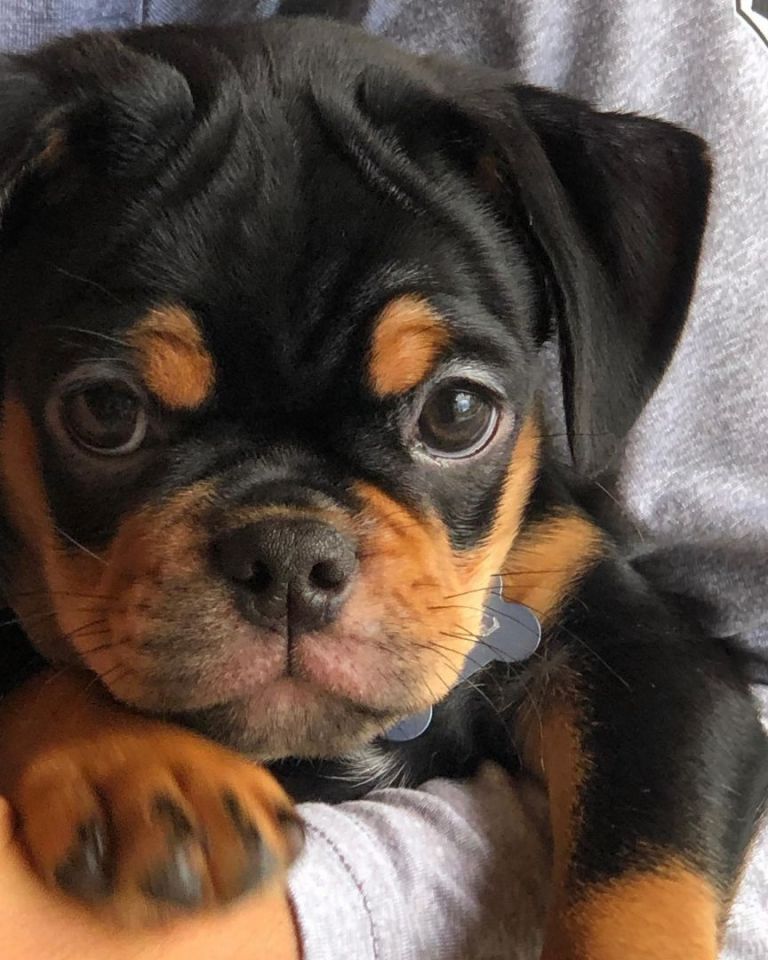 Meet shay davis: true artist oil painting on canvas - SHOUTOUT COLORADO