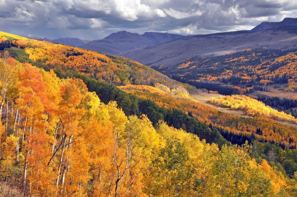 Meet Holly Marks and Scott Franz | Photographer - SHOUTOUT COLORADO