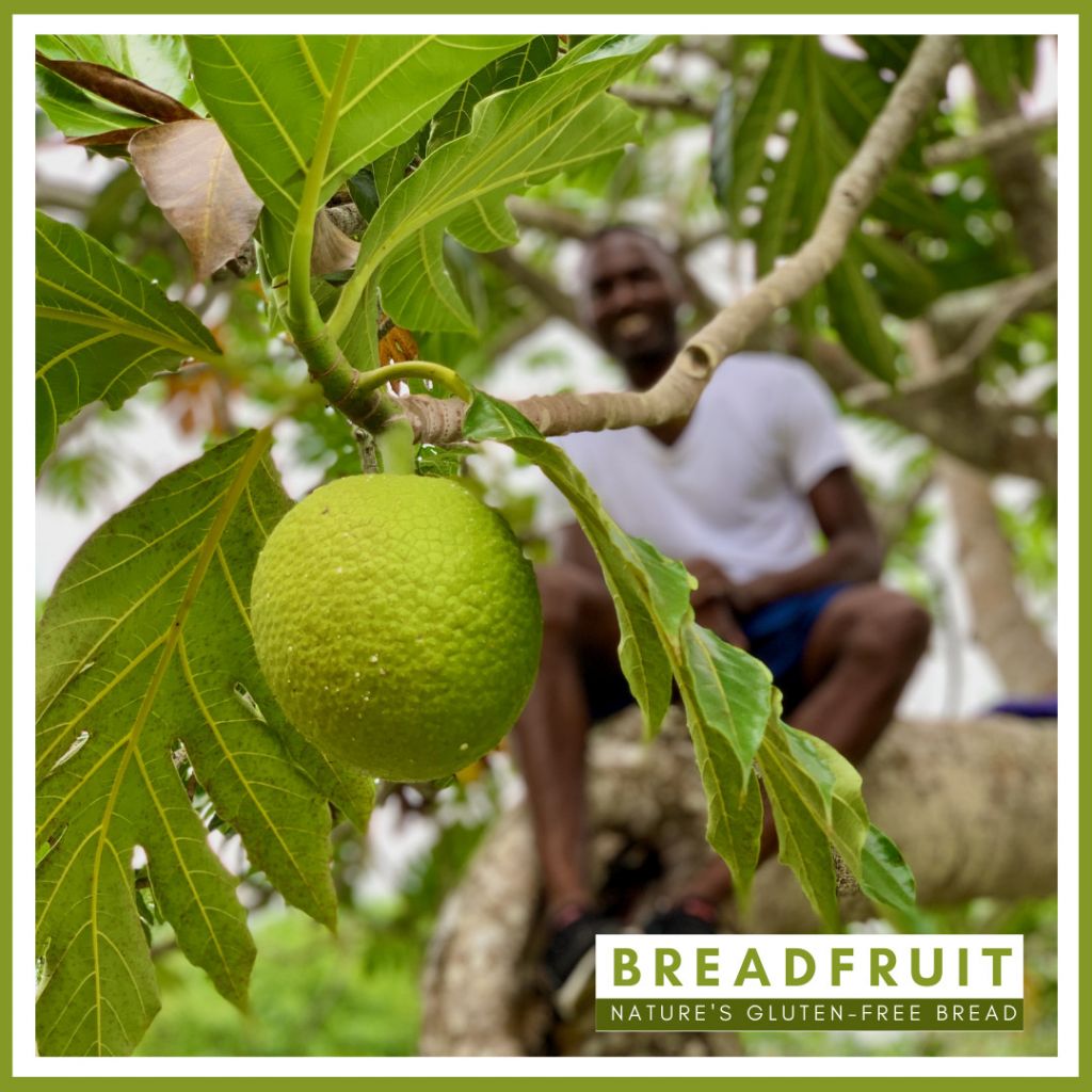 Meet Javion Blake | Product Design Engineer & Entrepreneur - SHOUTOUT ...