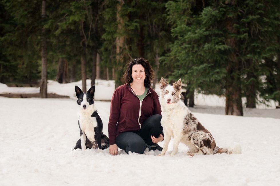 Meet Allison Mae | Pet Photographer - SHOUTOUT COLORADO