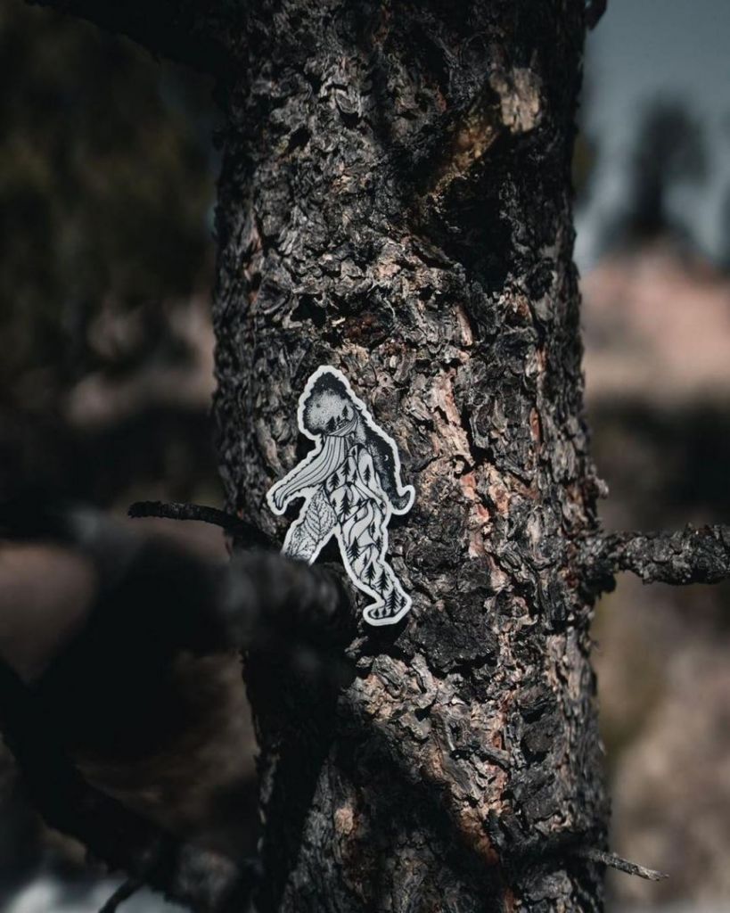 Meet Nicole Labonte | Artist inspired by Natute - SHOUTOUT COLORADO