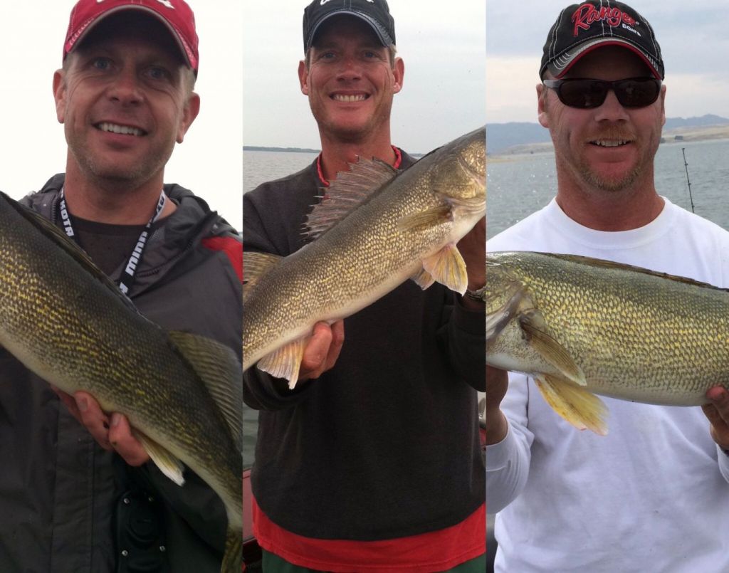 Meet Josh Sheldon | Tournament Fisherman - SHOUTOUT COLORADO