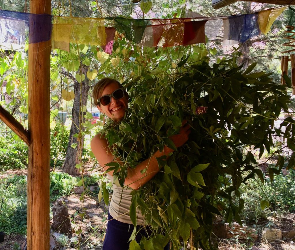 Meet Emily Stock | Herbalist - SHOUTOUT COLORADO