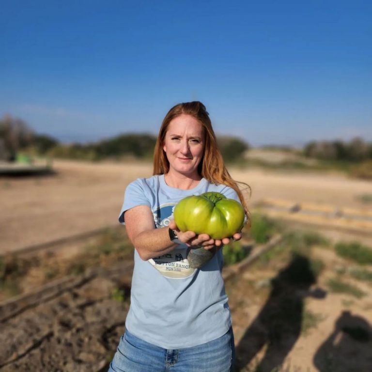 Meet Lisa Moreland | Home maker, gardener, homeschool mom, homesteading ...