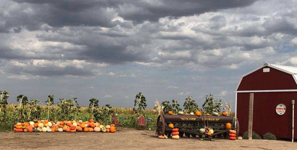 Meet Bieber Family | Pumpkins and More A-Maiz-ing Farm - SHOUTOUT COLORADO