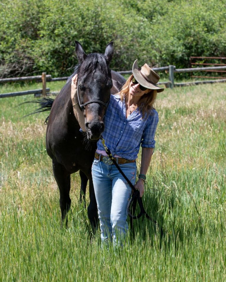 Meet Michelle Kaye | Founder & Executive Director of Operation Equine ...
