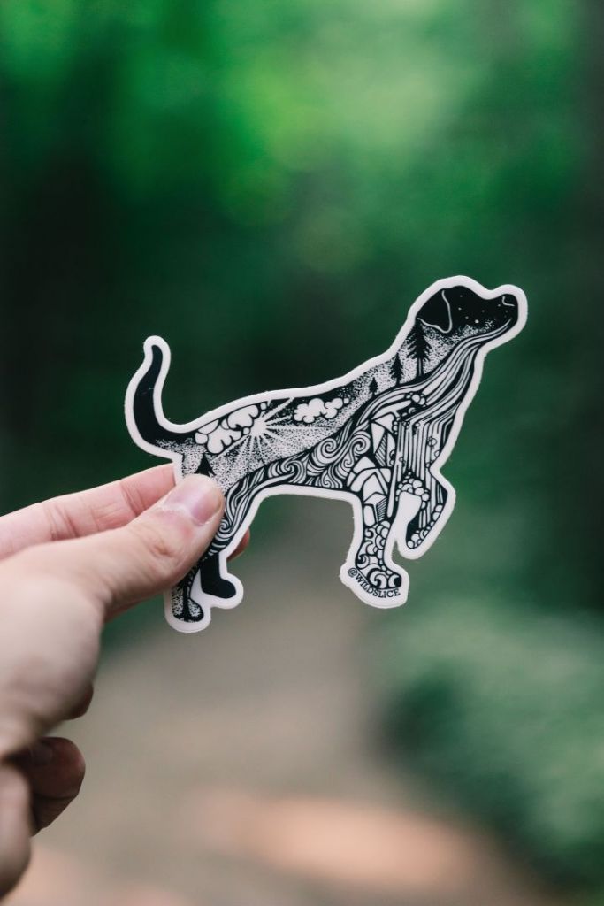 Meet Nicole Labonte | Artist – SHOUTOUT COLORADO