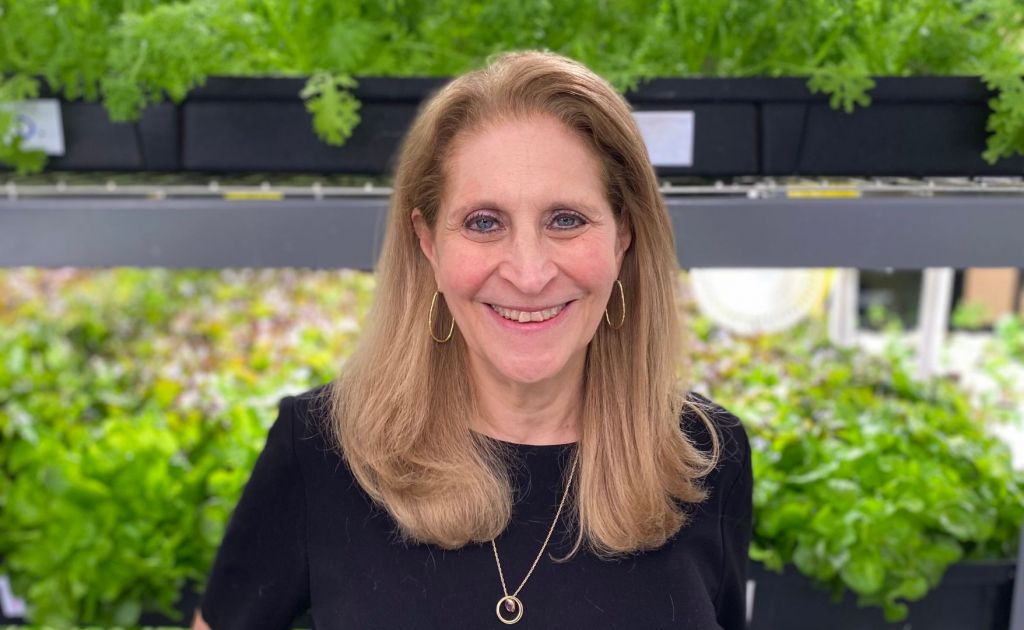 Meet Katherine Soll | Not for Profit Founder and CEO – SHOUTOUT COLORADO