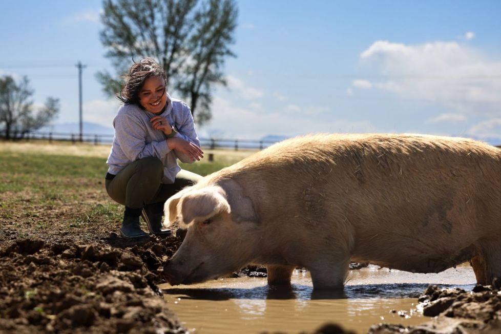 Meet Kelly Nix | Managing Director - SHOUTOUT COLORADO