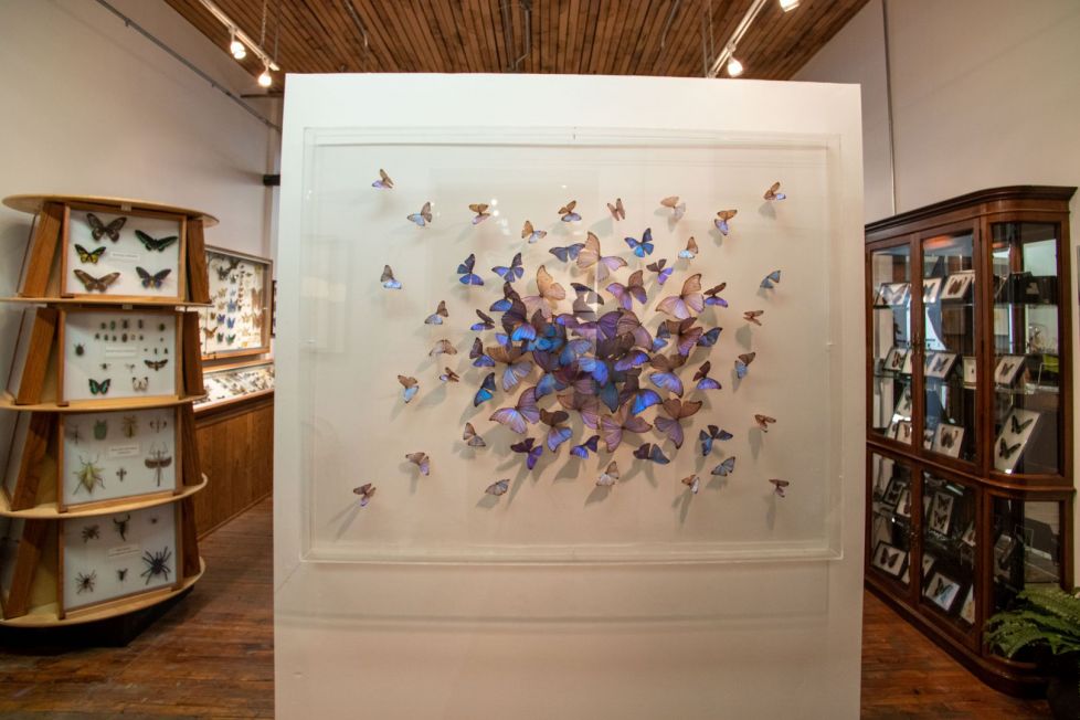 Meet Joseph Rudy | Nature lover & Entrepreneur - SHOUTOUT COLORADO