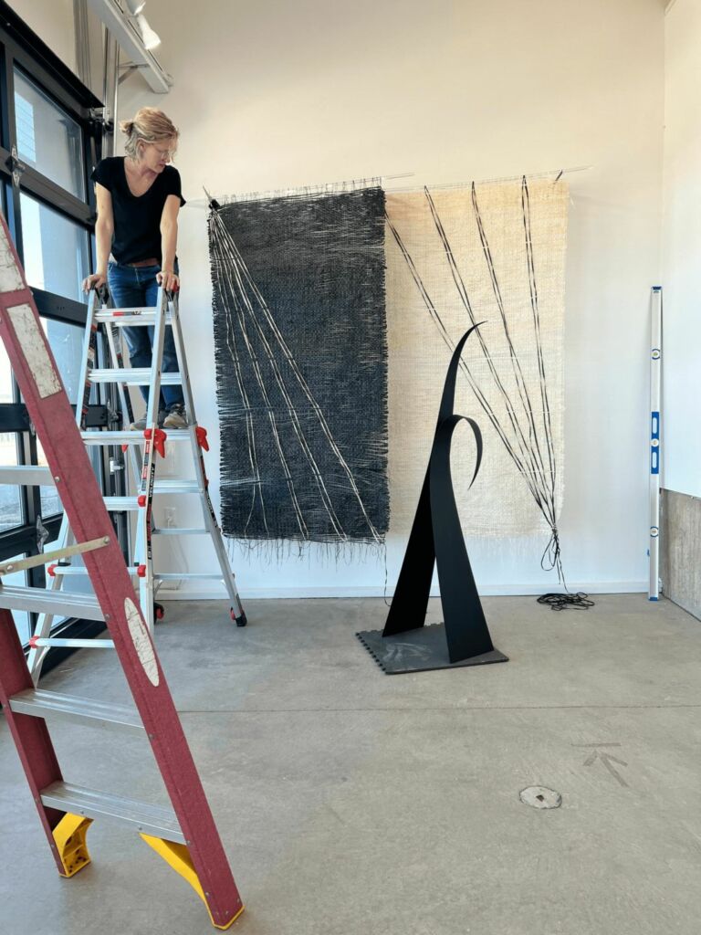 Meet Julie Rothschild | Interdisciplinary Artist - SHOUTOUT COLORADO