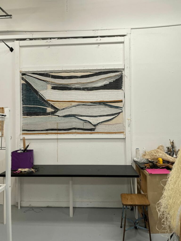 Meet Julie Rothschild | Interdisciplinary Artist - SHOUTOUT COLORADO