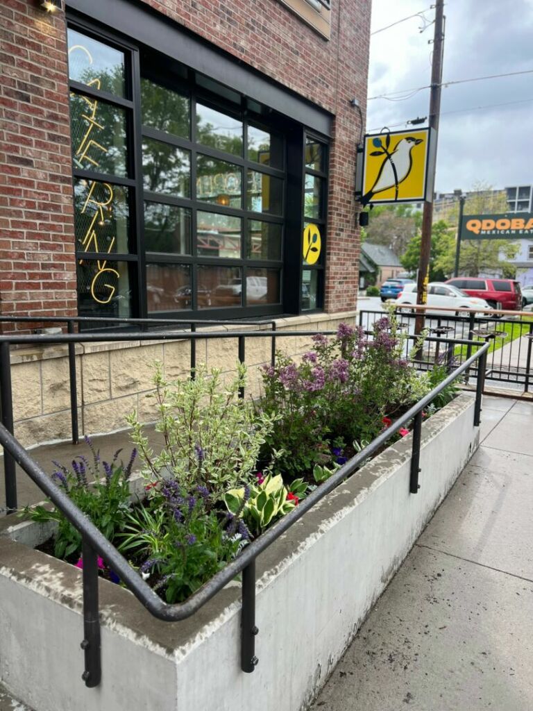 Meet Charley Perry | Owner of Perry's Plants - SHOUTOUT COLORADO