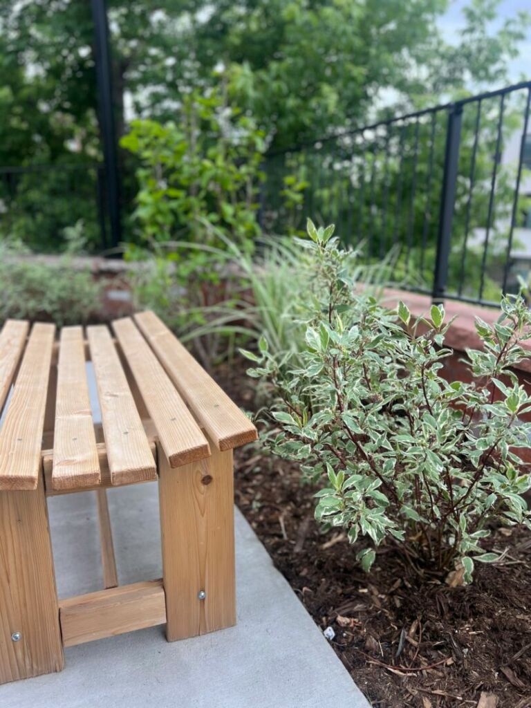 Meet Charley Perry | Owner of Perry's Plants - SHOUTOUT COLORADO