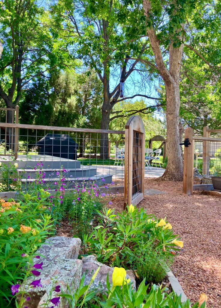 Meet Emily Goldman | Landscape Designer - SHOUTOUT COLORADO