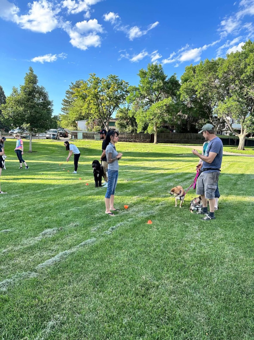 Meet Elizabeth Nickle - SHOUTOUT COLORADO