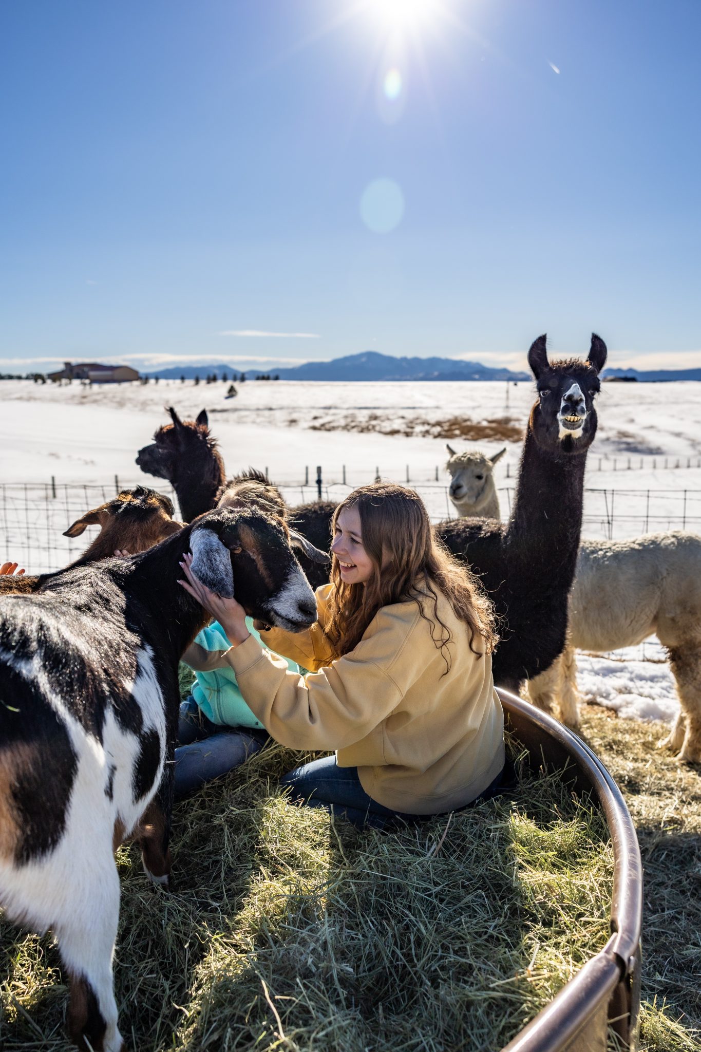 Meet Mindy Warman | Brand Photographer - SHOUTOUT COLORADO
