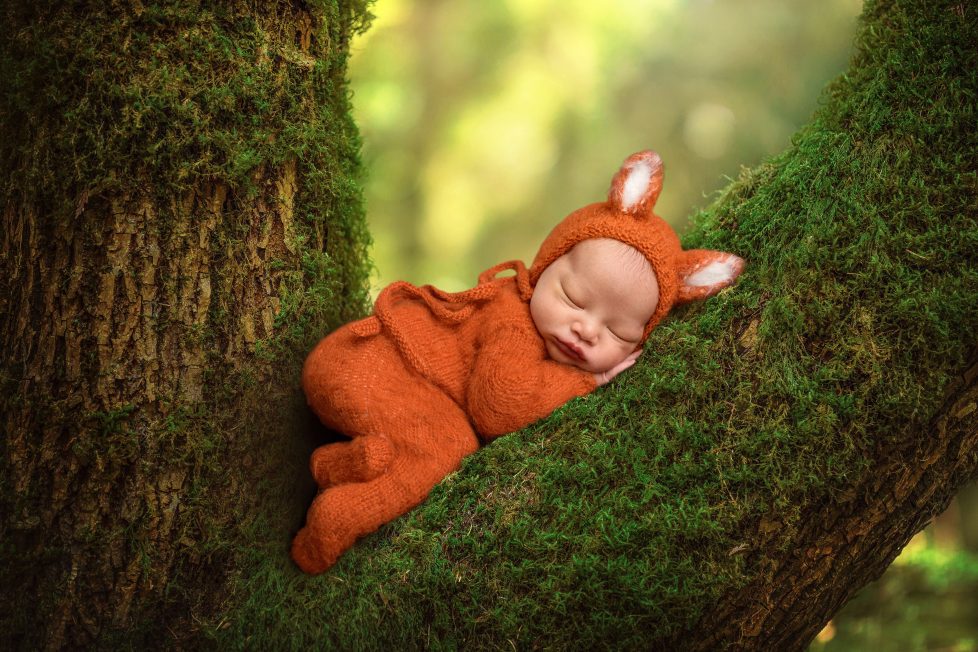 Meet Nickie Cole | Award winning maternity and newborn photographer ...