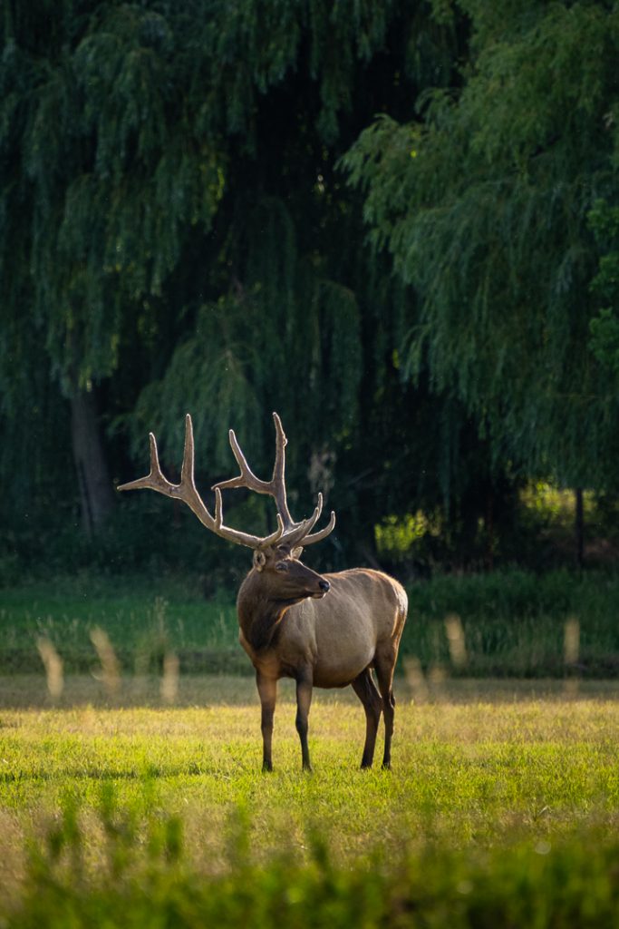 Meet Jeremy Joseph - SHOUTOUT COLORADO
