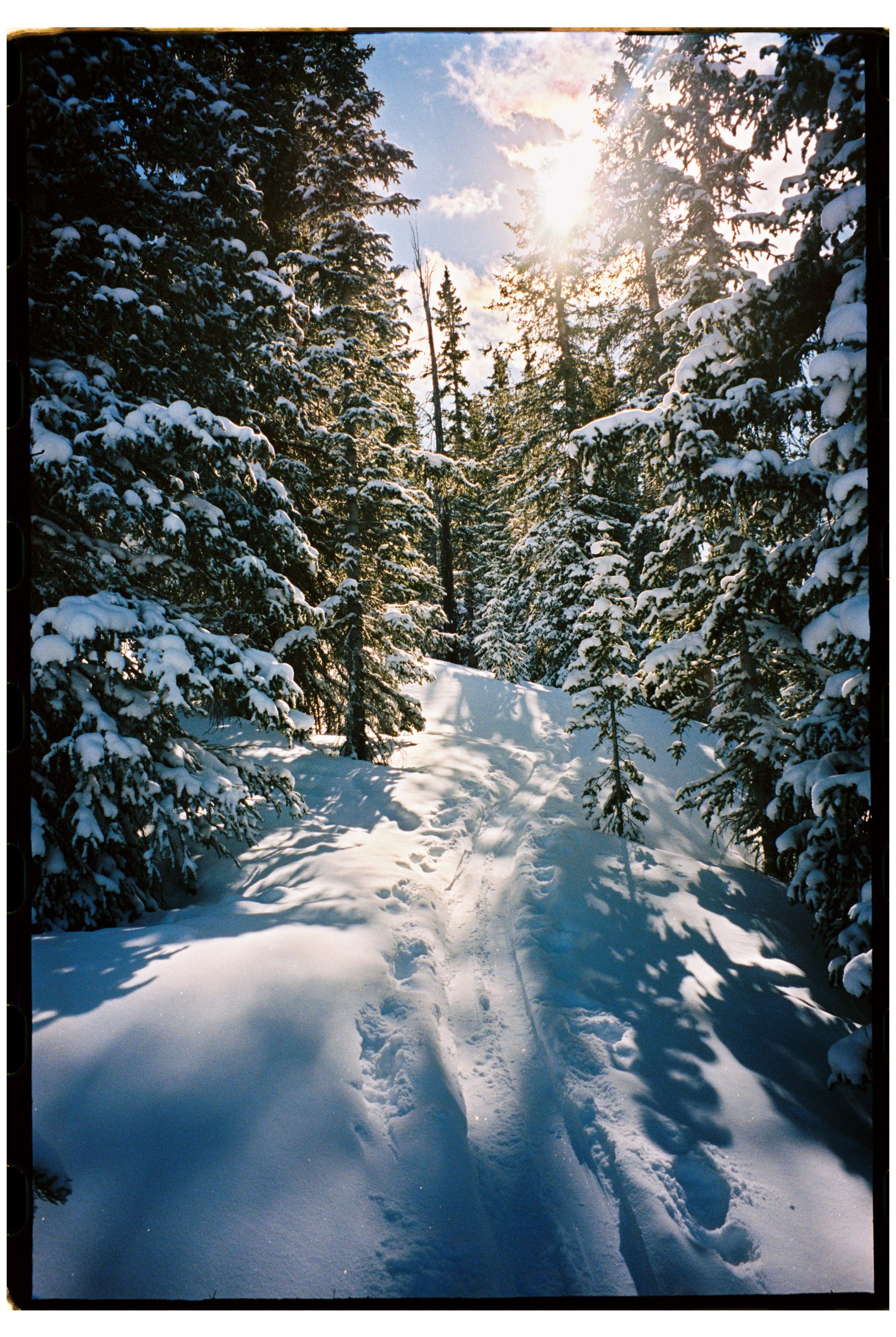 Meet Connor Robinson | Backcountry snowboarder and photographer ...