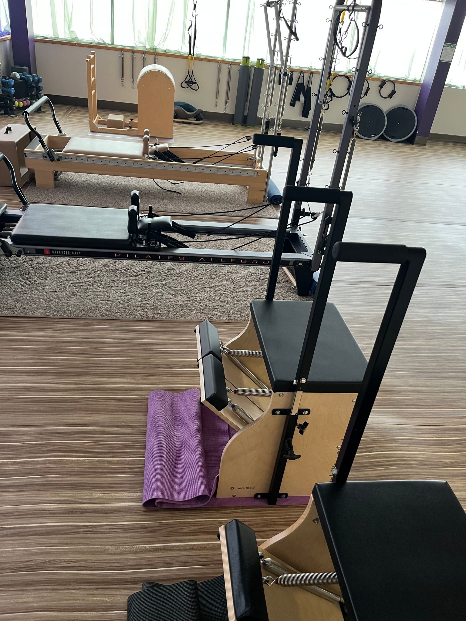 Meet Rose Browne - SHOUTOUT COLORADO