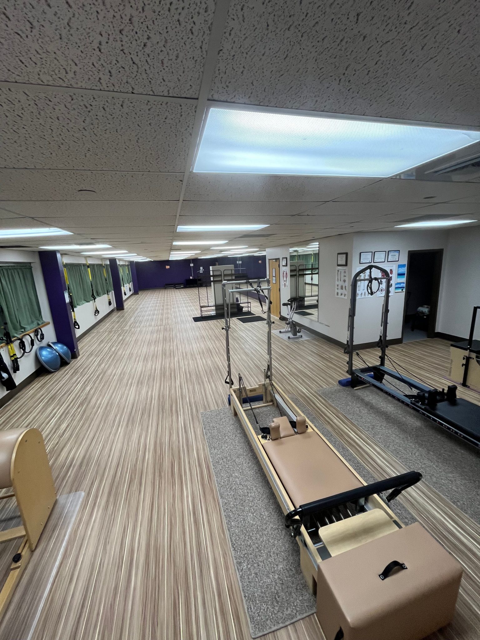 Meet Rose Browne - SHOUTOUT COLORADO