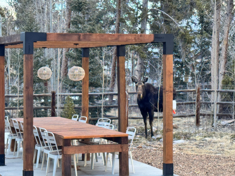 Meet Jeremiah Erickson | Community Developer - SHOUTOUT COLORADO