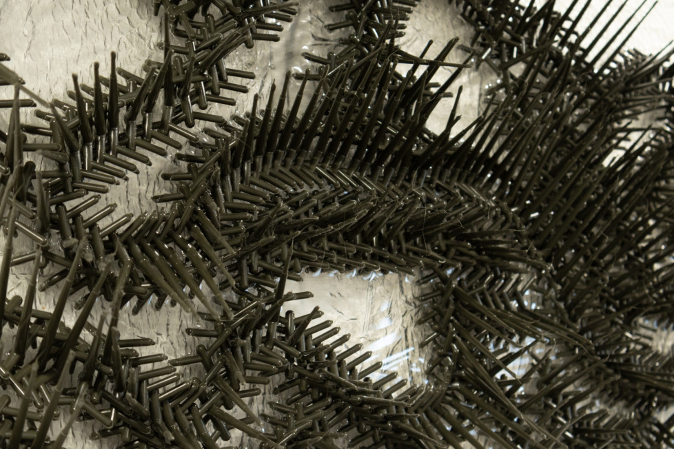 Meet Stuart Sachs | Artist - SHOUTOUT COLORADO